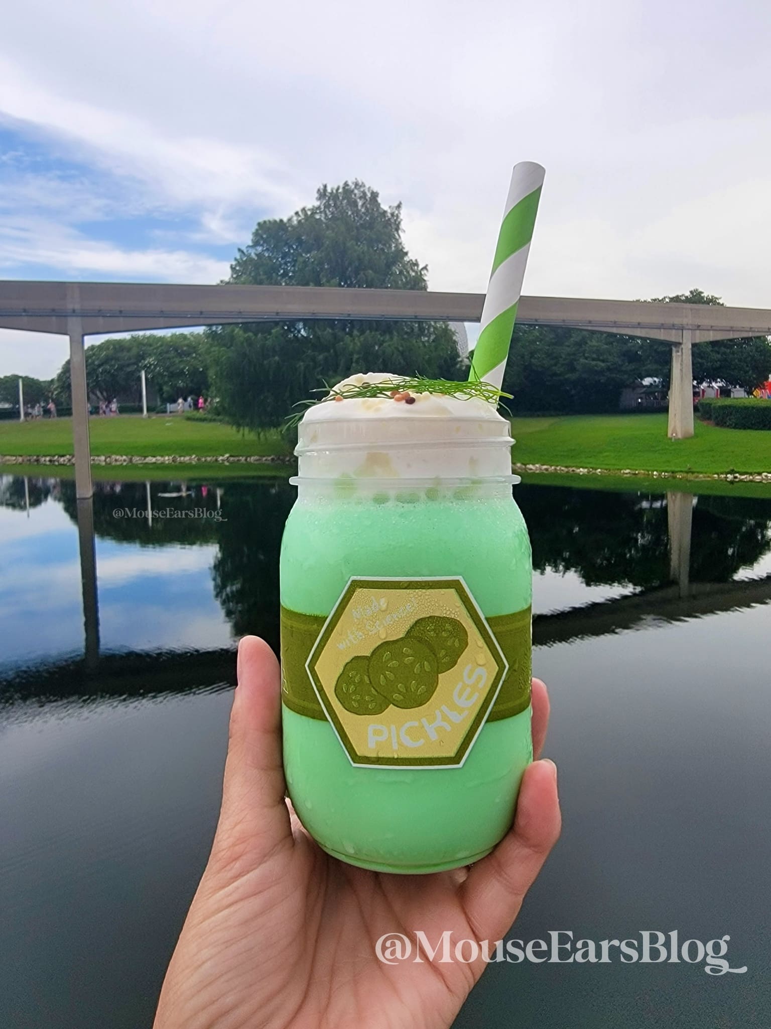 Introducing the Pickle Milkshake: A Surprising Blend of Flavors - Mouse ...