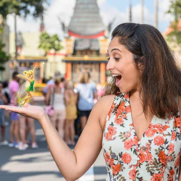 Magic Kingdom - Mouse Ears Blog